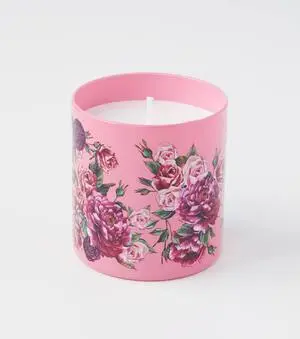 Dolce & Gabbana Rosa Moschata Scented Candle