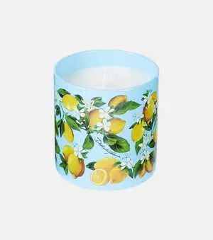 Dolce & Gabbana Lemon Scented Candle - Blue