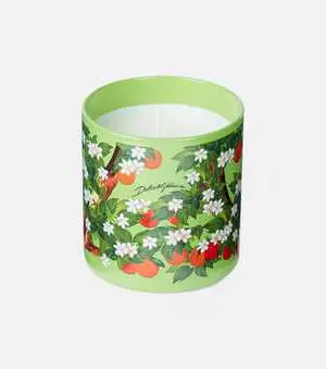 Dolce & Gabbana Arancio Di Sicilia Scented Candle - Green
