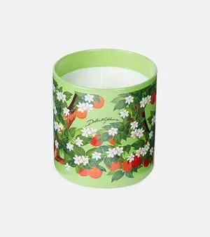 Dolce & Gabbana Arancio Di Sicilia Scented Candle - Green