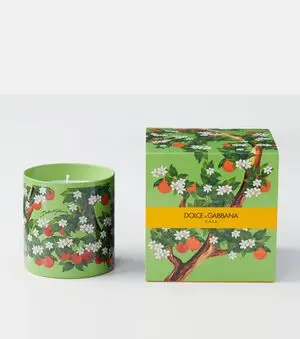 Dolce & Gabbana Arancio Di Sicilia Scented Candle