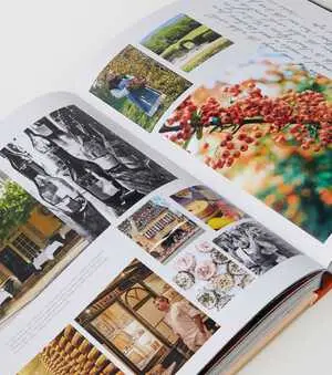 Assouline Wine & Travel France Book - Orange