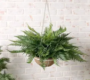 MARTHA STEWART Faux Fern Hanging Basket - One-color