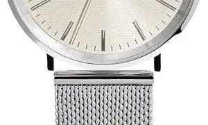DANIEL WELLINGTON Day Display Sterling Mesh Strap Watch