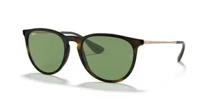Ray-ban Erika Round Frame Sunglasses