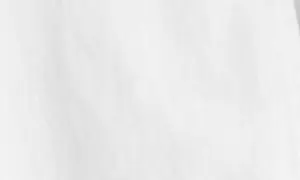 Eileen Fisher High Collar Organic Linen Jacket