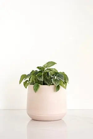 REN VOIS Planter - Blush Marble