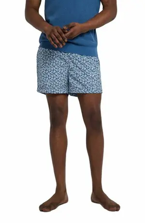 Onia Charles 4" Swim Trunk - Blue Multi