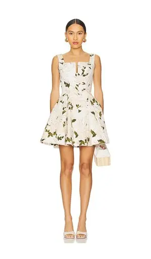 Agua Bendita Gardenia Mini Dress - Multicolor