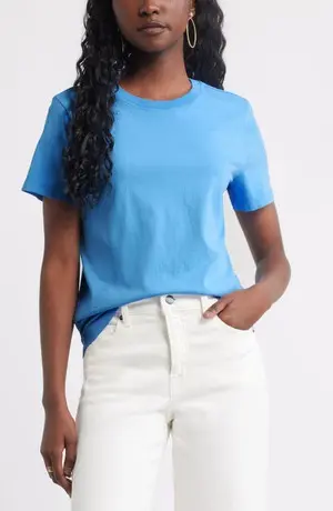 TREASURE & BOND Treasure & Bond Cotton Crewneck T-Shirt