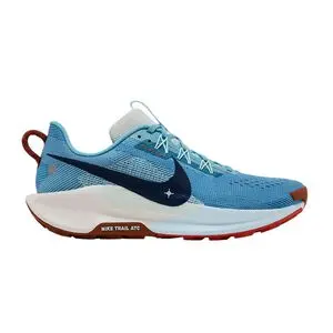 Nike Pegasus Trail 5 Sneakers - Blue