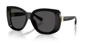 Dolce & Gabbana Dolce & Gabbana DG4495 Sunglasses Noir
