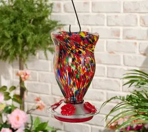 ULTIMATE INNOVATIONS BY THE DEPALMAS As Is Ultimate Innovations 2-in-1 Hummingbird Feeder & Vase - One-color