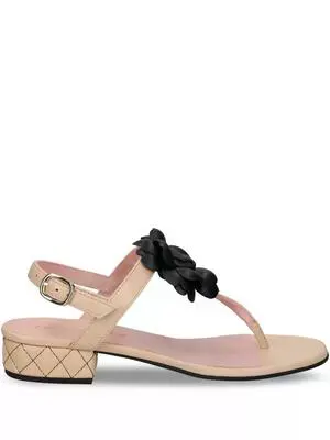 Pretty Ballerinas 30mm Flower-detailing Sandals
