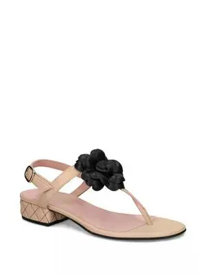 Pretty Ballerinas 30mm Flower-detailing Sandals