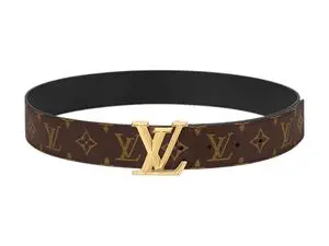 LOUIS VUITTON Pyramide 40mm Belt - Brown/gold