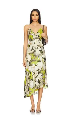 ALLSAINTS Alexia Floral Dress