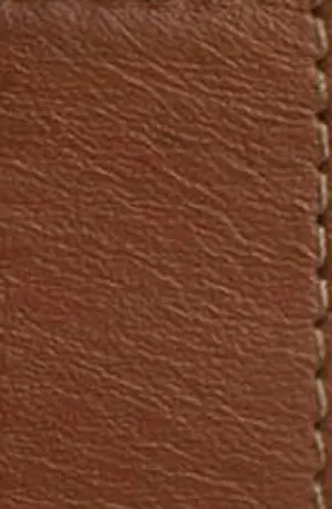 FRAME The Sculptural Leather Belt