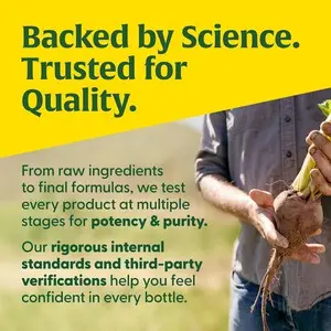 MEGAFOOD Balanced B Complex