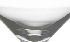 SCHOTT ZWIESEL Pure Set Of 2 Sauvignon Blanc Wine Glasses