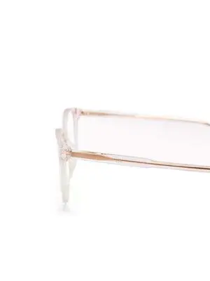 Dolce & Gabbana Butterfly-frame Glasses