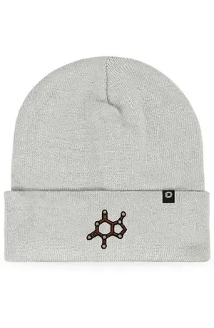 DALIX Dalix Molecule Beanie Light Gray