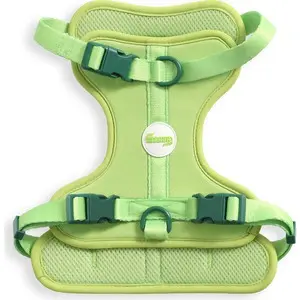 THE LICKER STORE Arlo Adjustable Soft Padded No Pull Pet Harness With 3 Buckles And 3 Leash Clips - Light Green