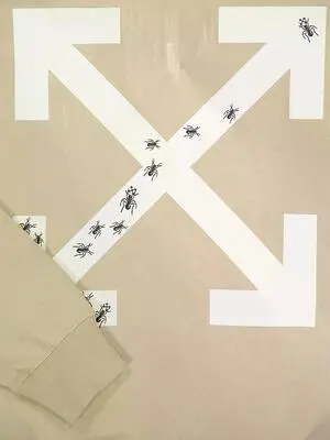 Off-White Arrow Skate Hoodie