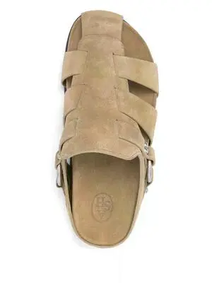 Ash Terry Mules