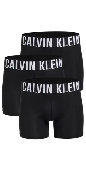 Calvin Klein Boxer Boxers & Briefs