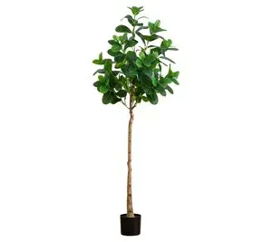 NEARLY NATURAL 6' Artificial Audrey Ficus Tree - One-color