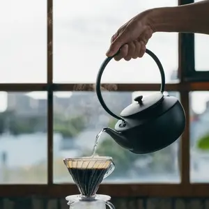 BALMUDA Moonkettle Electric Kettle - Black