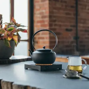 BALMUDA Moonkettle Electric Kettle - Black