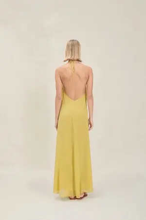 Devon Windsor April Maxi Dress