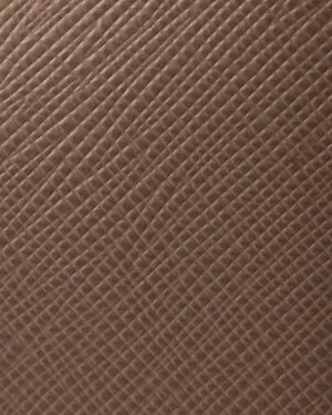 Prada Saffiano Leather Mini Bag