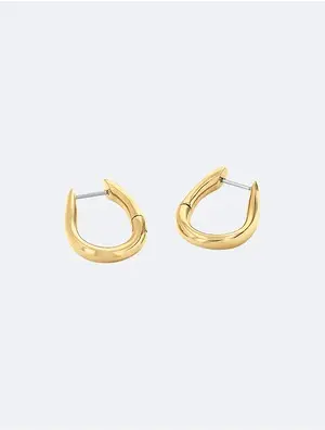 Calvin Klein Organic Chain Link Earrings - Gold