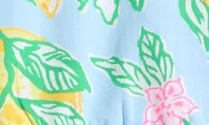 Lilly Pulitzer® Lou Lou Dress