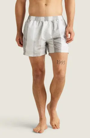 AUTO-REPLY™ AUTO-REPLY™ Sebastian Print Nylon Swim Trunks Fog/ White Painted Stripe