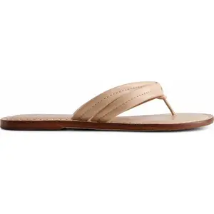 Bernardo Bernardo Footwear Miami Thong Sandal Blush