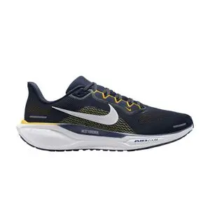 Nike Zoom Pegasus 41 'west Virginia - Blue
