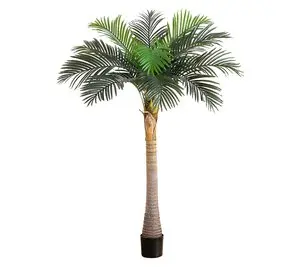 NEARLY NATURAL 6' Artificial Coconut Palm Tree - One-color