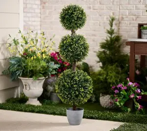 WICKER PARK 48' Long Boxwood 3-sphere Topiary Tree With Pot - One-color