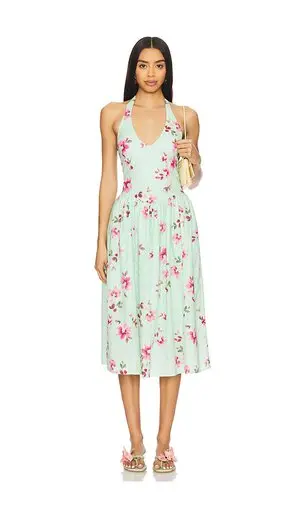 Steve Madden Floral Day Dresses