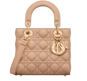 Dior Small Lady Dior Bag - Brown
