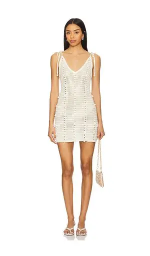 Devon Windsor Katherine Crochet Mini Dress