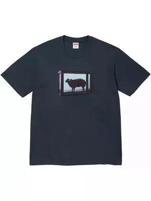Supreme X Damien Hirst Printed T-shirt - Blue