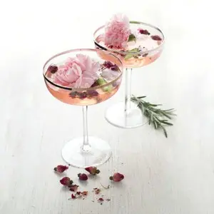 TWINE Copper Rim Crystal Coupes Set Of 2