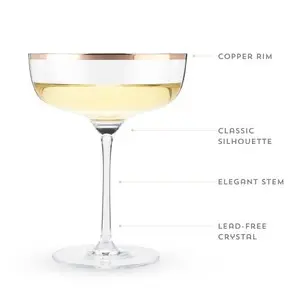 TWINE Copper Rim Crystal Coupes Set Of 2