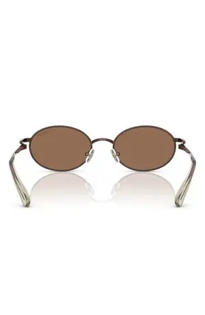 SWAROVSKI 53mm Oval Sunglasses - Brown / Dark Brown