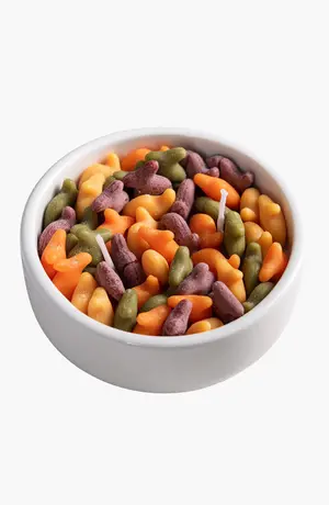 SOUTHLAKE GIFTS Fish Crackers Snack Scented Bowl Candle - Multi-color